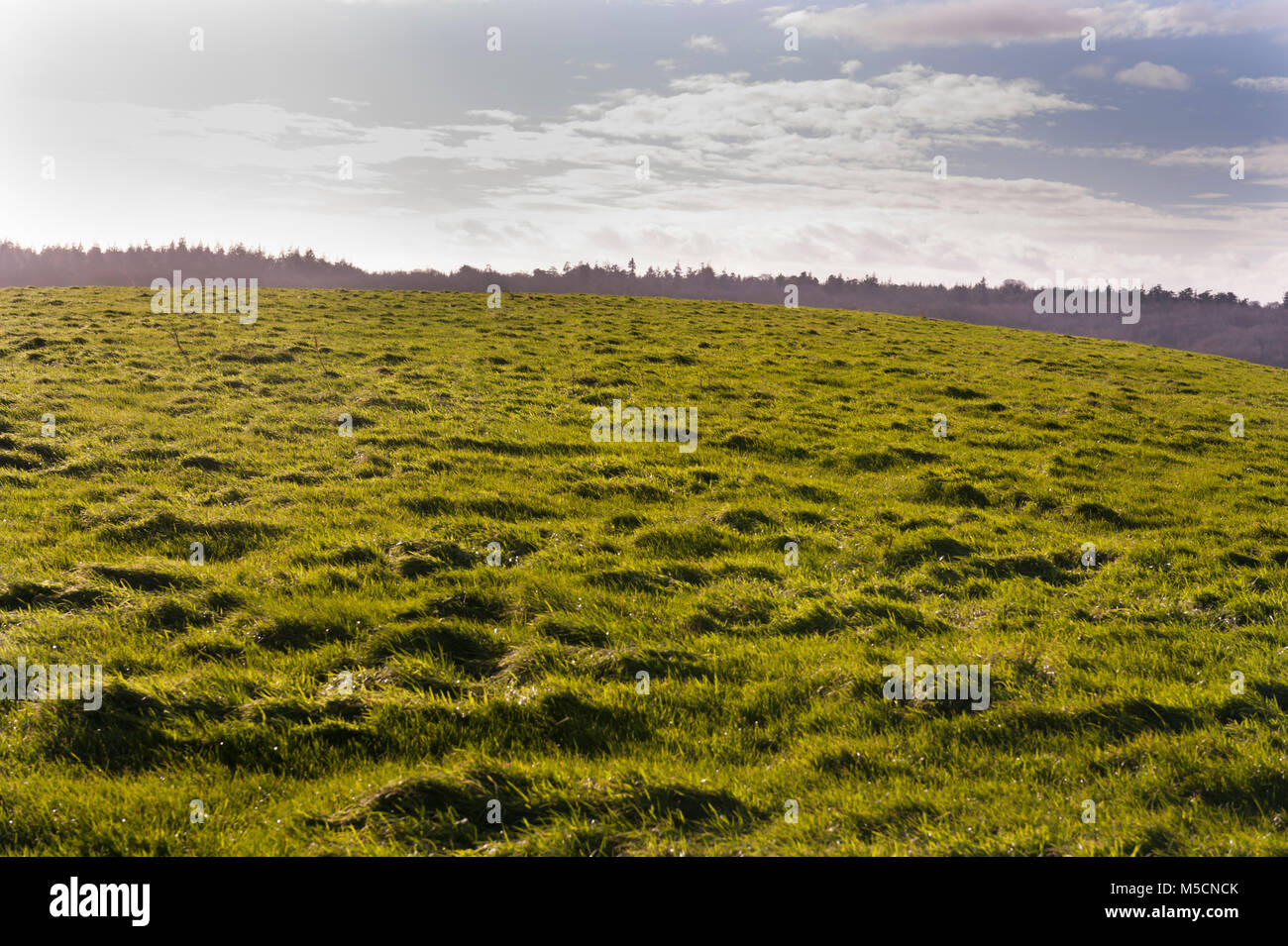 Warminster - Wiltshire- UK- Countryside Stock Photo - Alamy