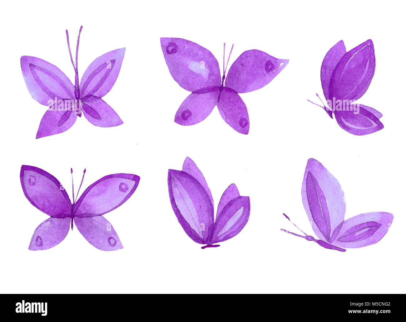 A set of illustrations of violet watercolor butterflies. A simple ...