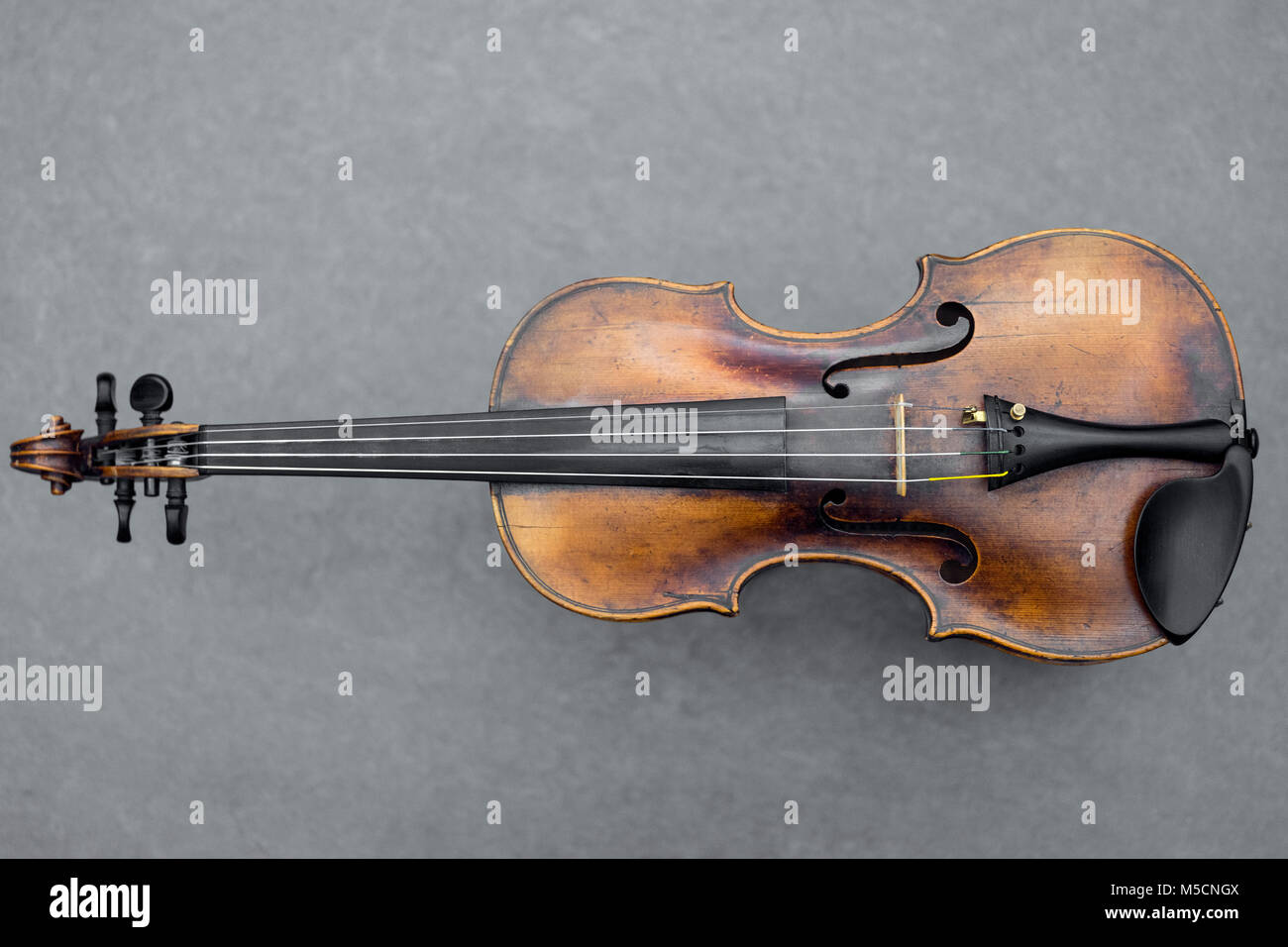 stringed instrument violin against gray background Stock Photo - Alamy