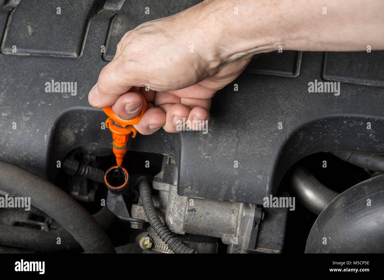 Check oil level at dipstick mark in car engine Stock Photo - Alamy