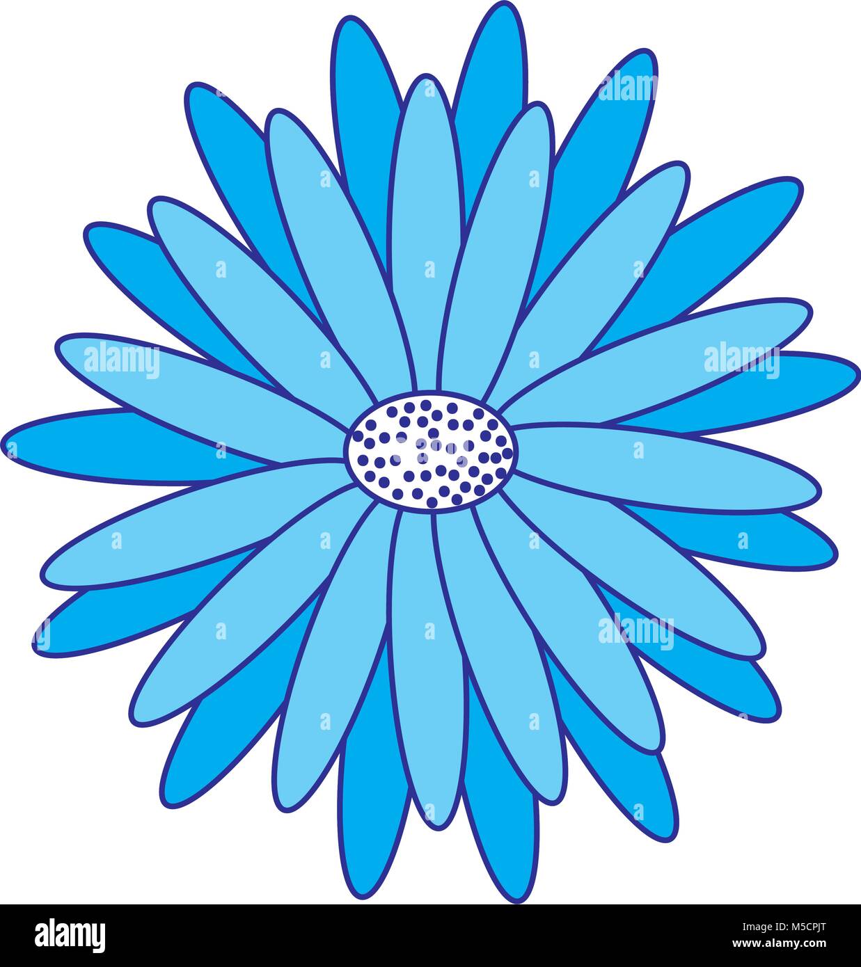 beautiful natural flower daisy petals decoration Stock Vector Image ...
