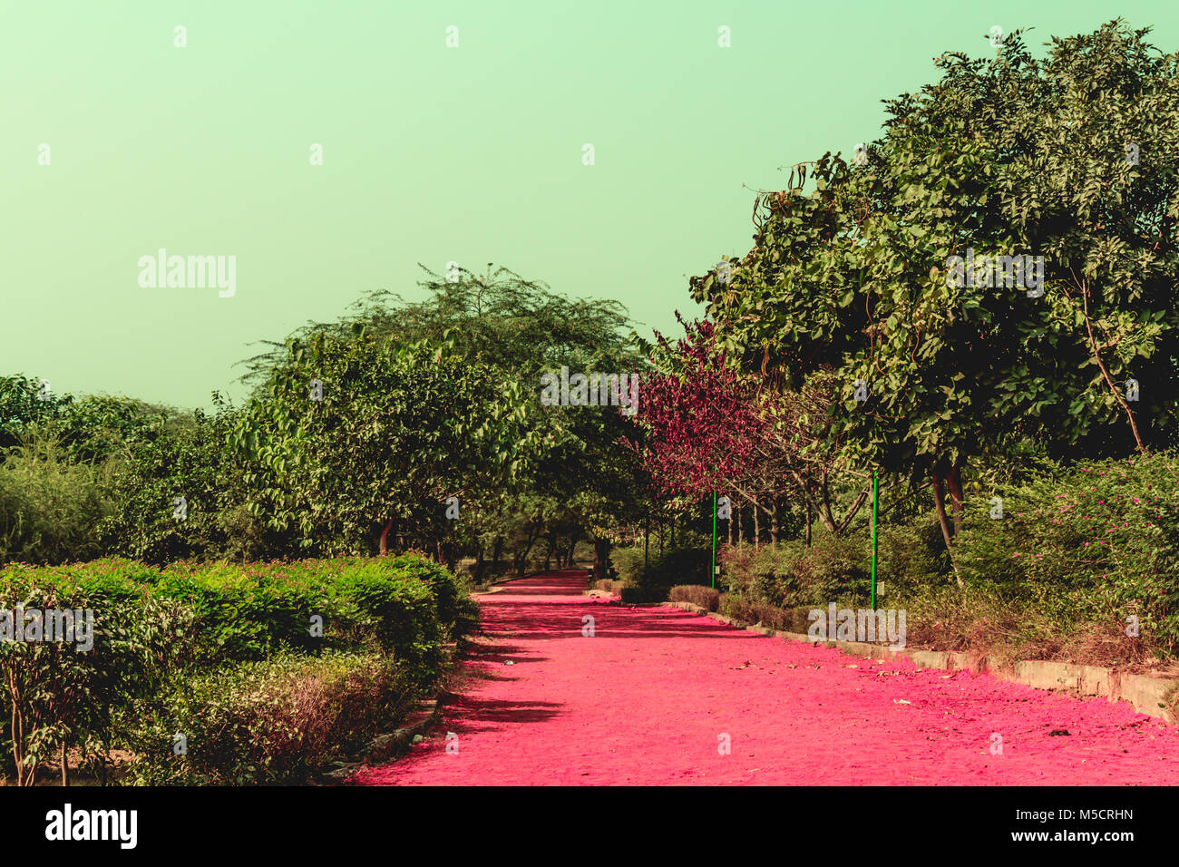 Parks, Forest, plants and green area wonderful landscape in India Stock ...