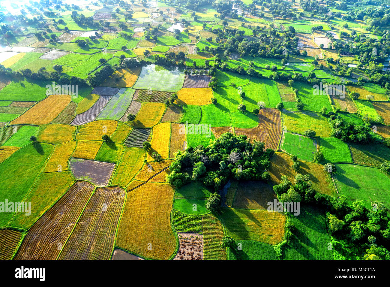 Ta Pa Rice field in mekong delta, An Giang, Vietnam Stock Photo - Alamy
