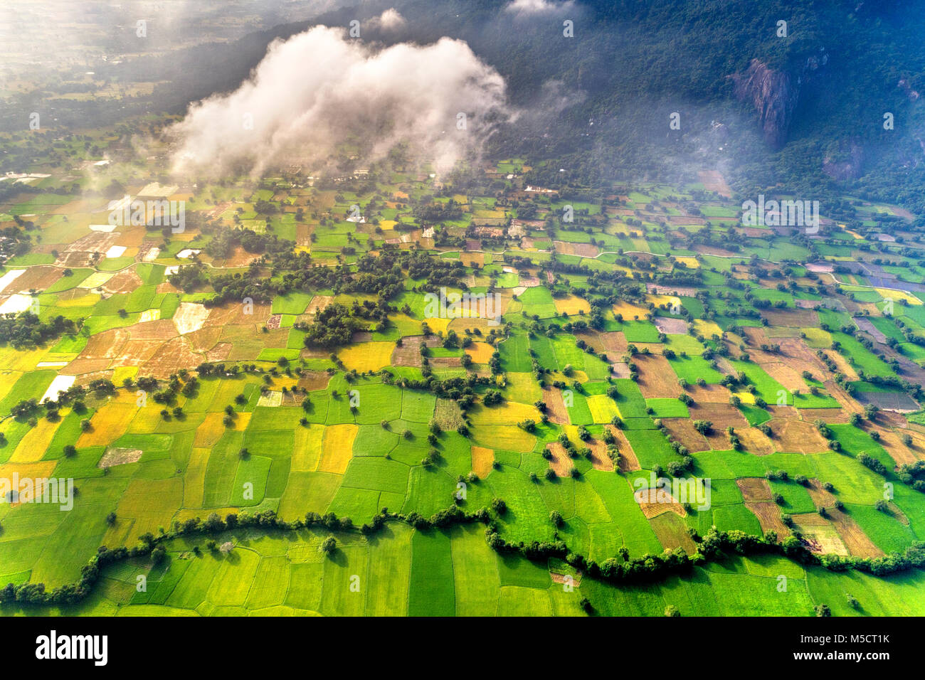 Ta Pa Rice field in mekong delta, An Giang, Vietnam Stock Photo - Alamy
