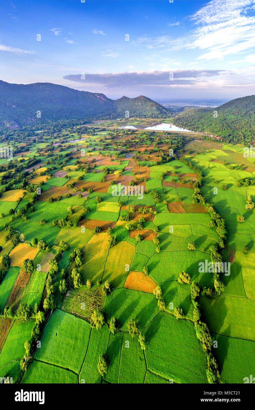 Ta Pa Rice field in mekong delta, An Giang, Vietnam Stock Photo - Alamy