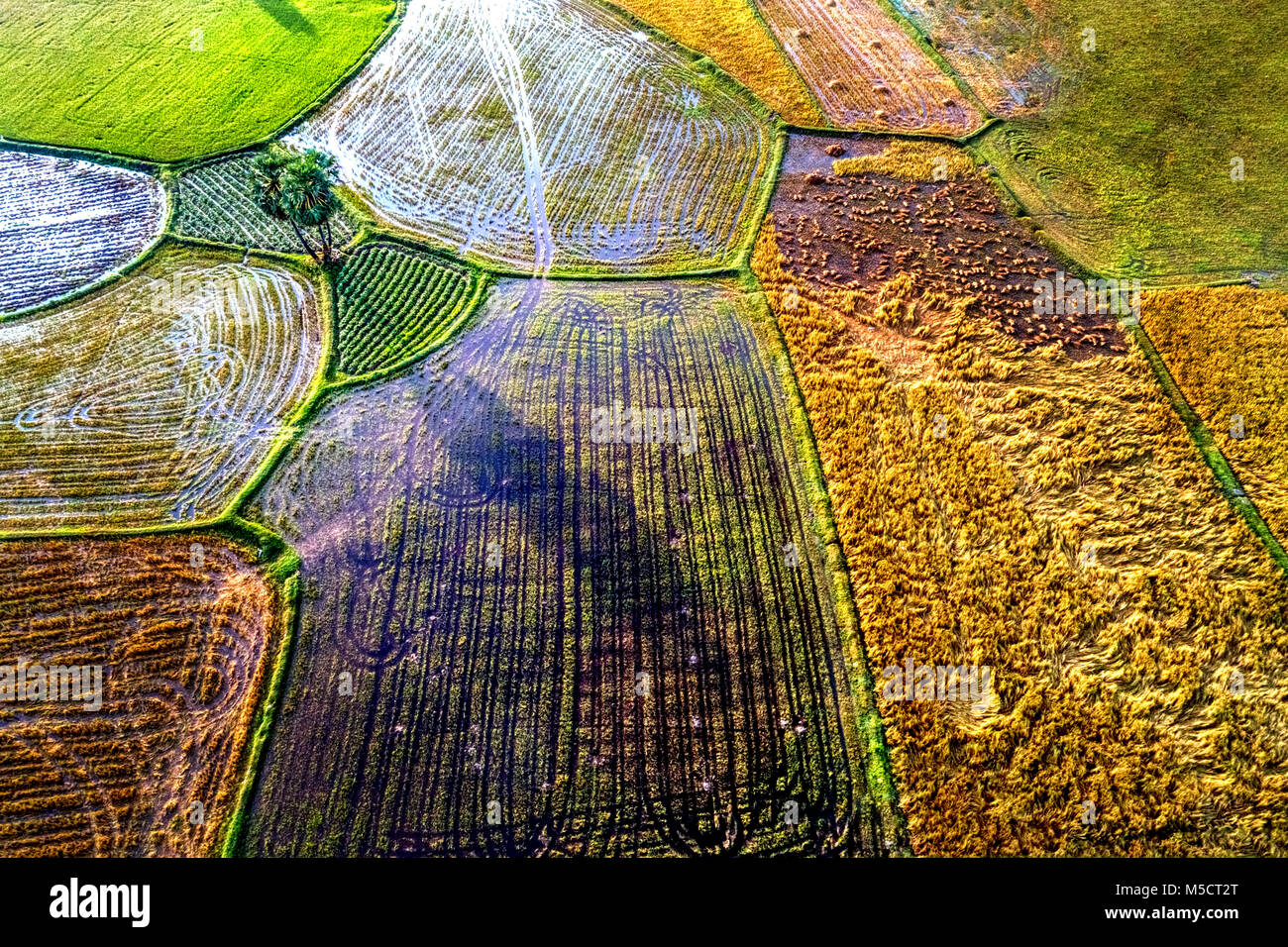 Delta mekong fog hi-res stock photography and images - Alamy