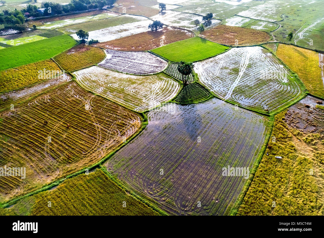 Ta Pa Rice field in mekong delta, An Giang, Vietnam Stock Photo - Alamy