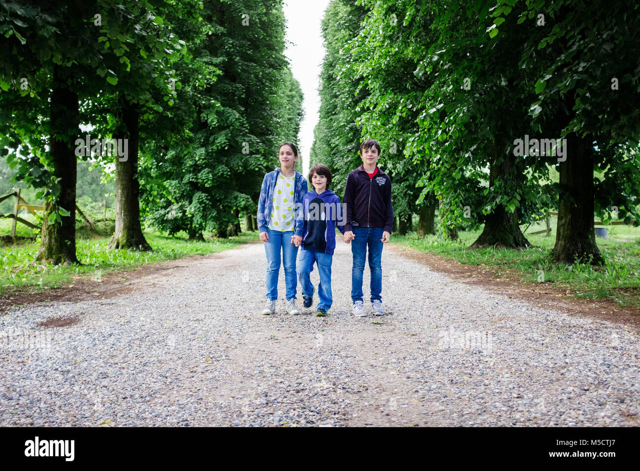 Three brothers portrait in a tree lined avenue Stock Photo - Alamy