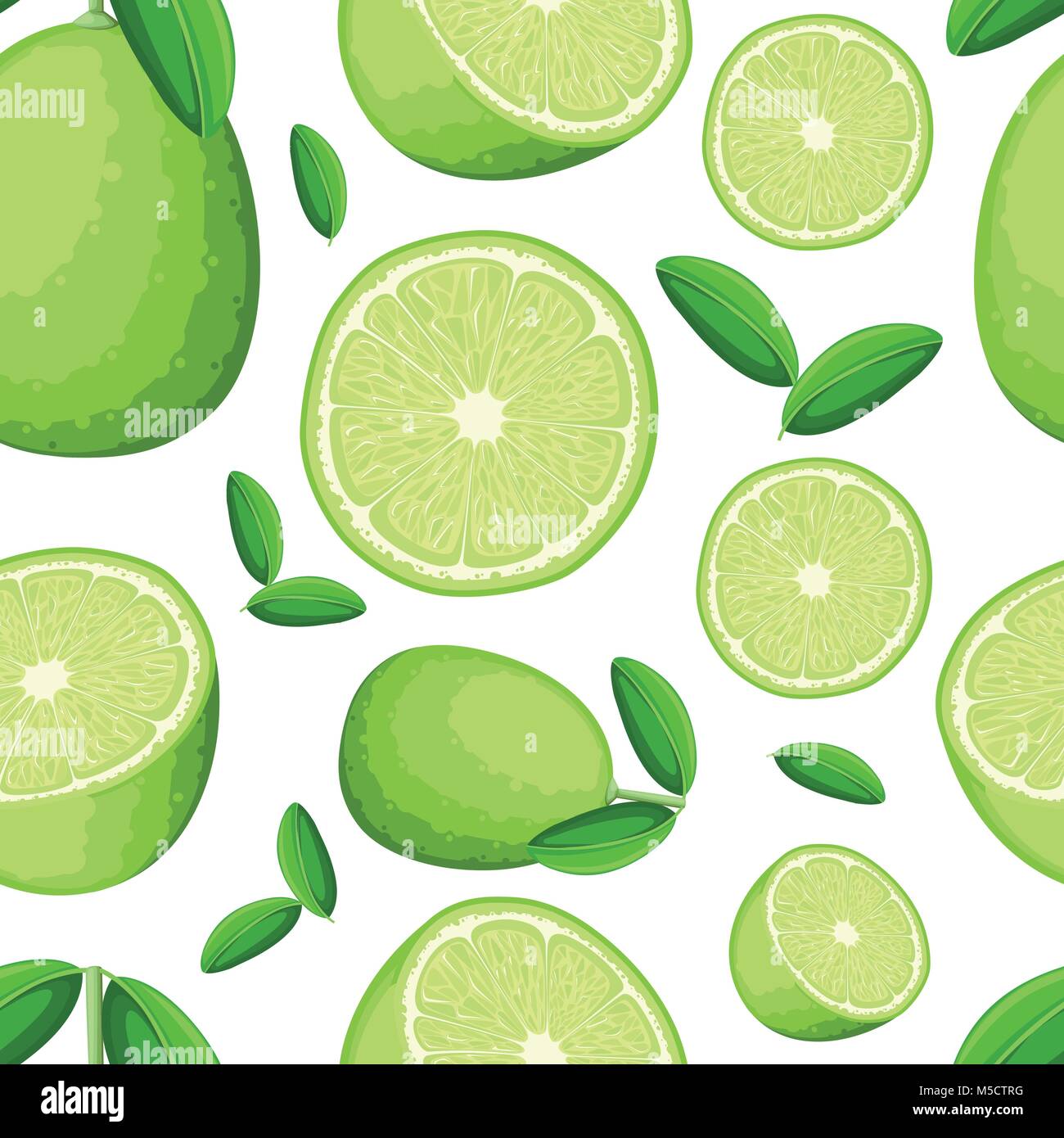 Seamless pattern of lime and slices of limes. Vector illustration of limes. Vector illustration ...