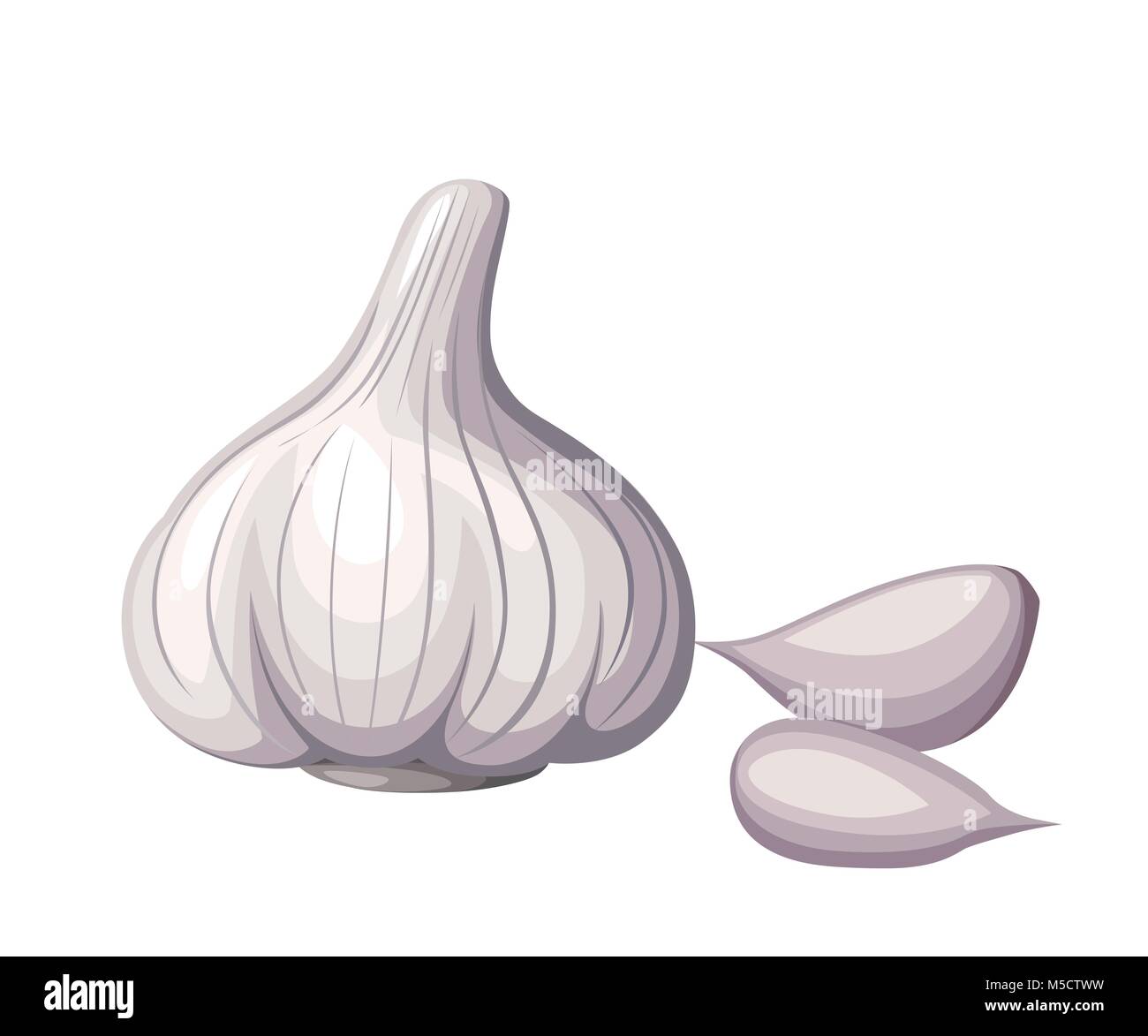 Organic vegetable root from Stock Vector Images - Alamy