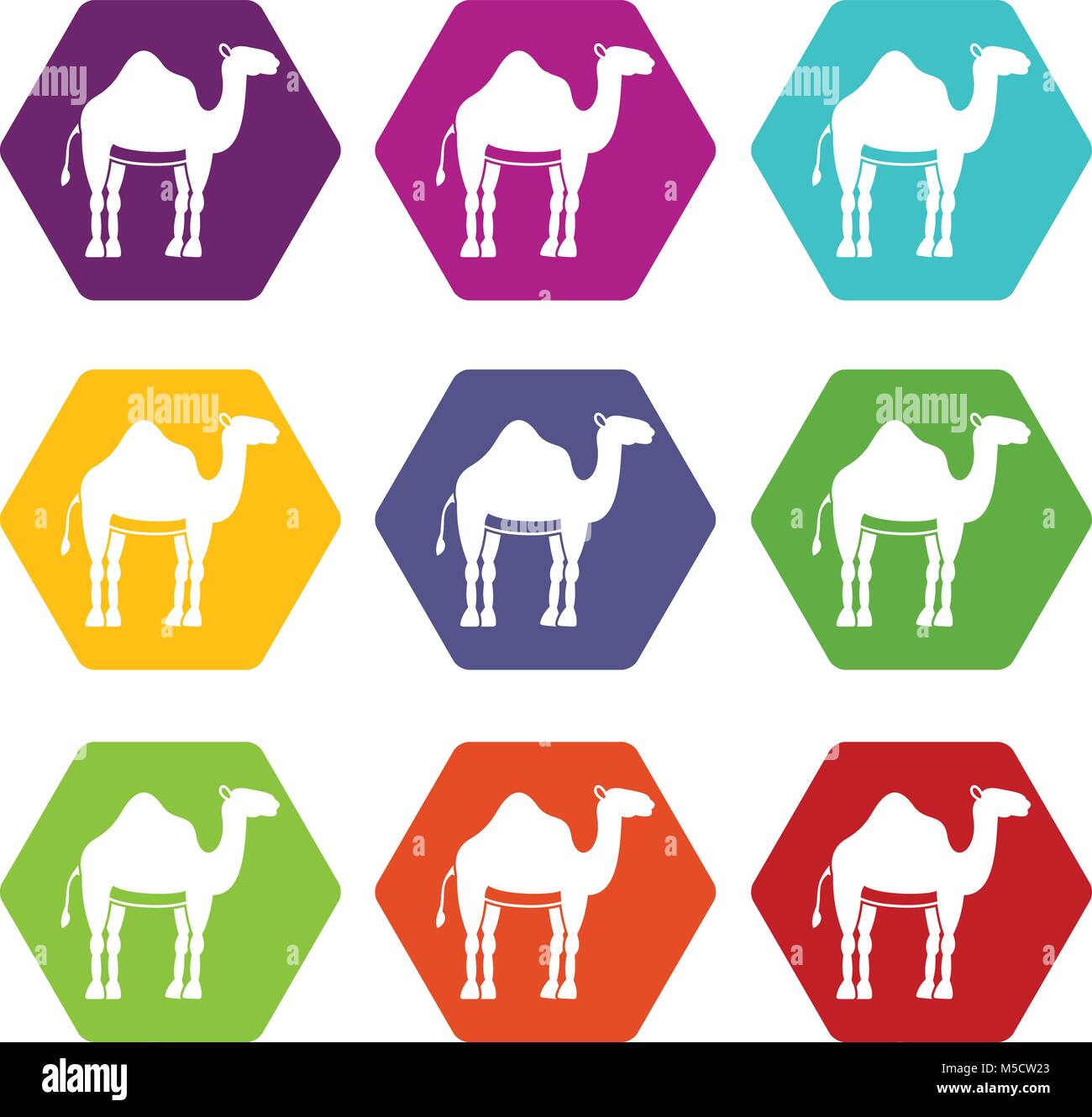 Camel icon set color hexahedron Stock Vector Image & Art - Alamy