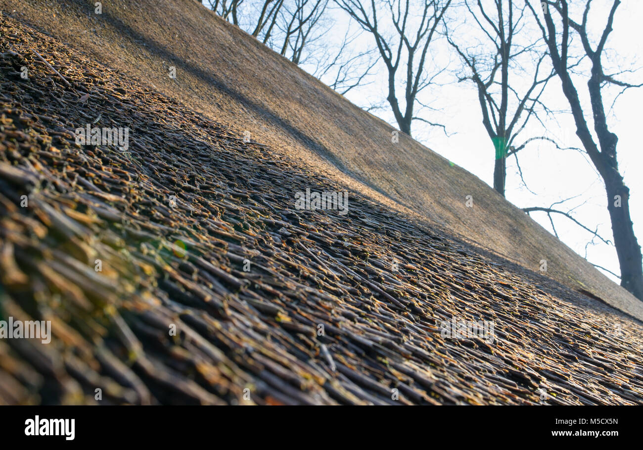 A thatched roof of a traditional dutch house, Netherlands architecture ...