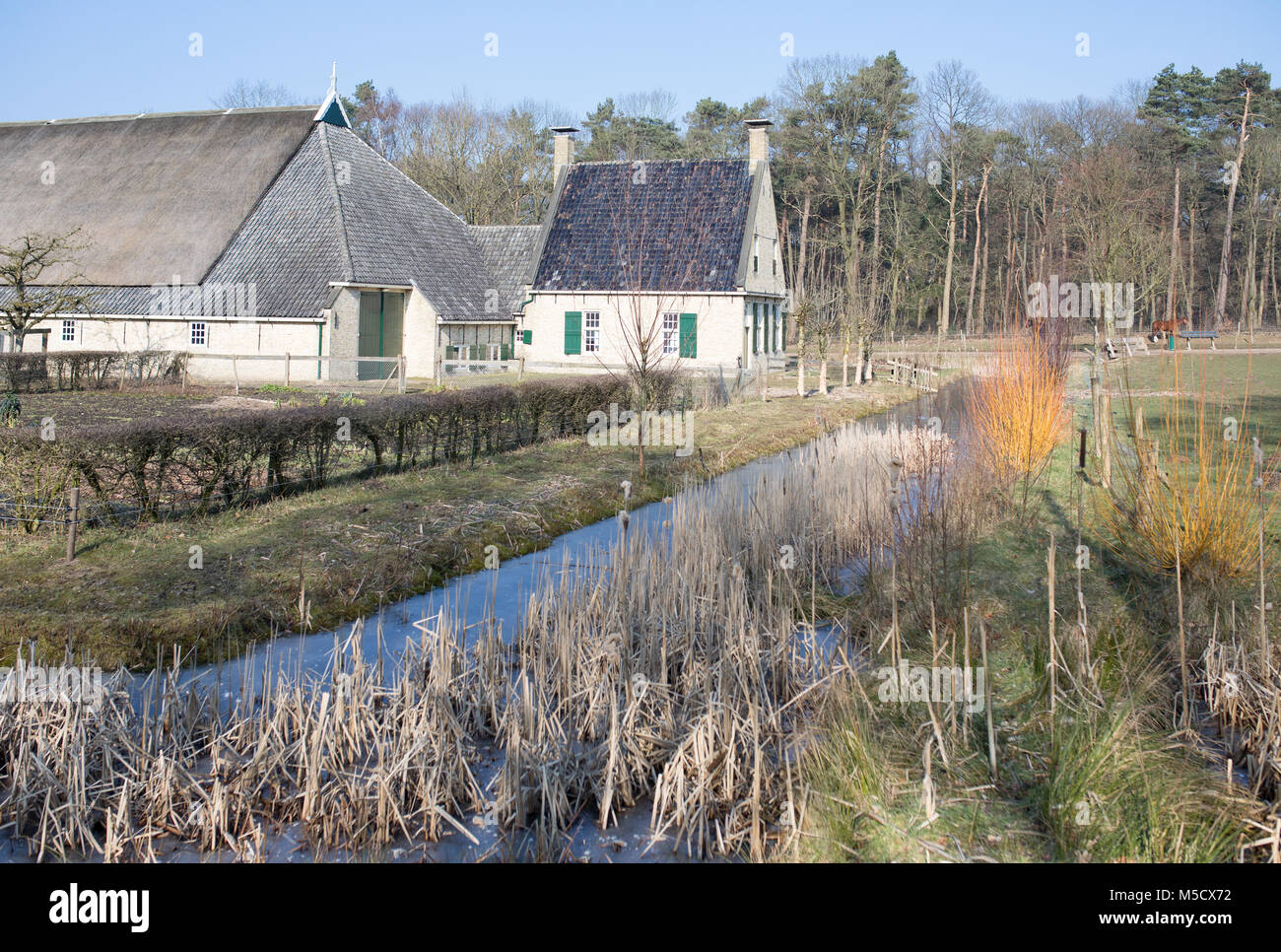 Netherlands traditional architecture, old dutch houses and gardening in ...