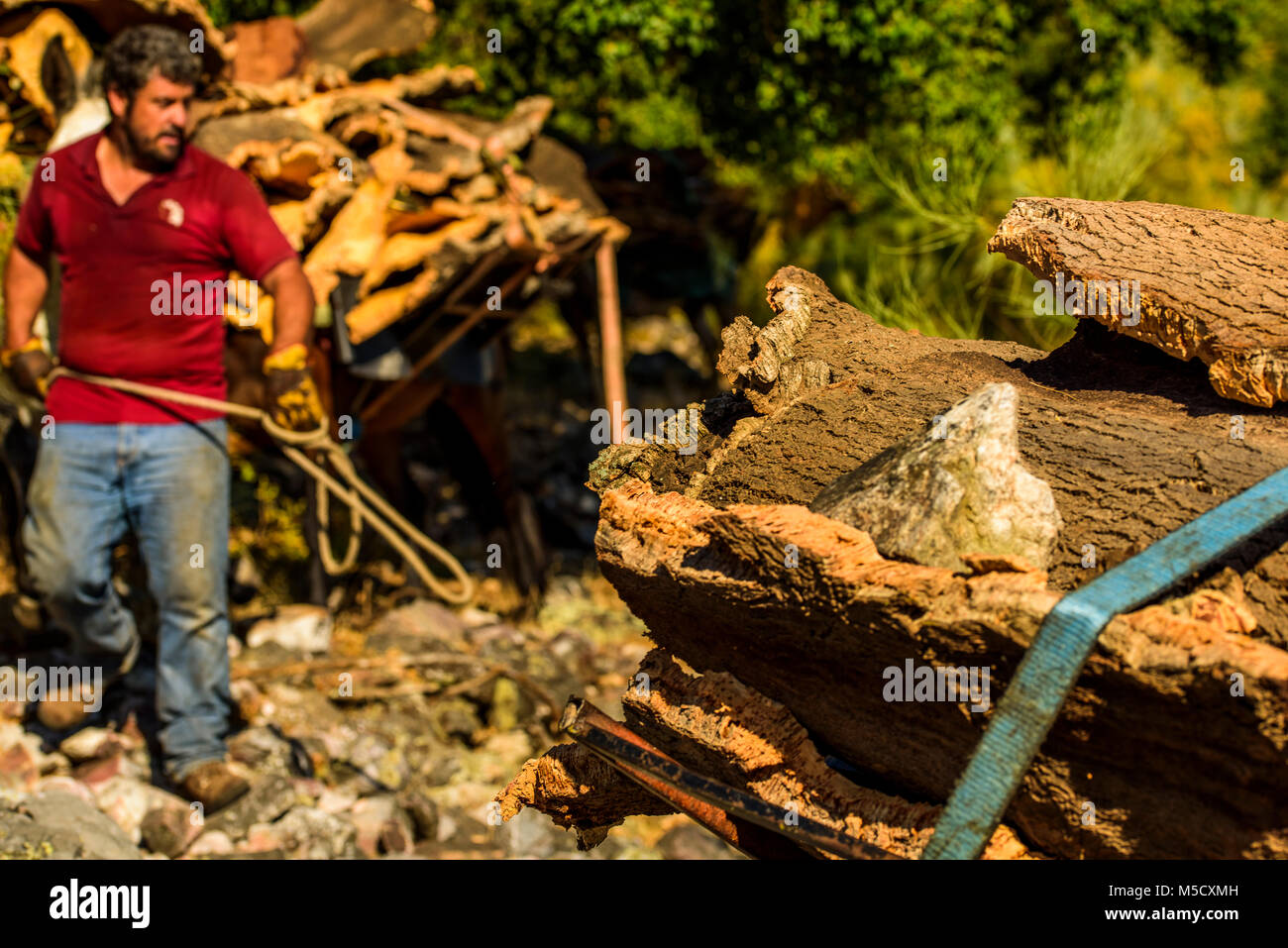 Cork workers, taking out the cortex of the corks. After that we can use ...