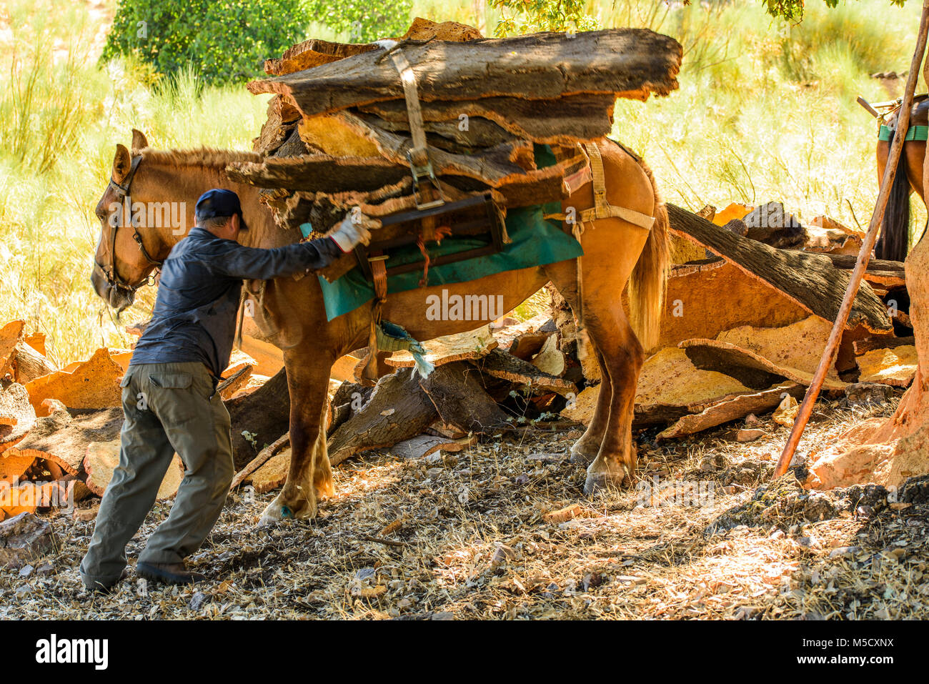 Cork workers, taking out the cortex of the corks. After that we can use ...