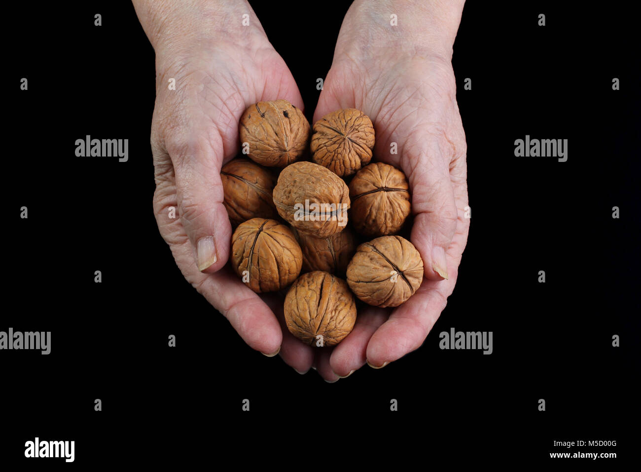 old hands with walnuts on black background isolated Stock Photo - Alamy