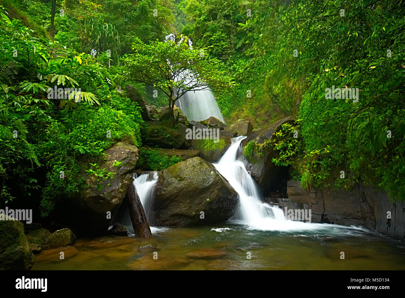 back to nature Stock Photo - Alamy