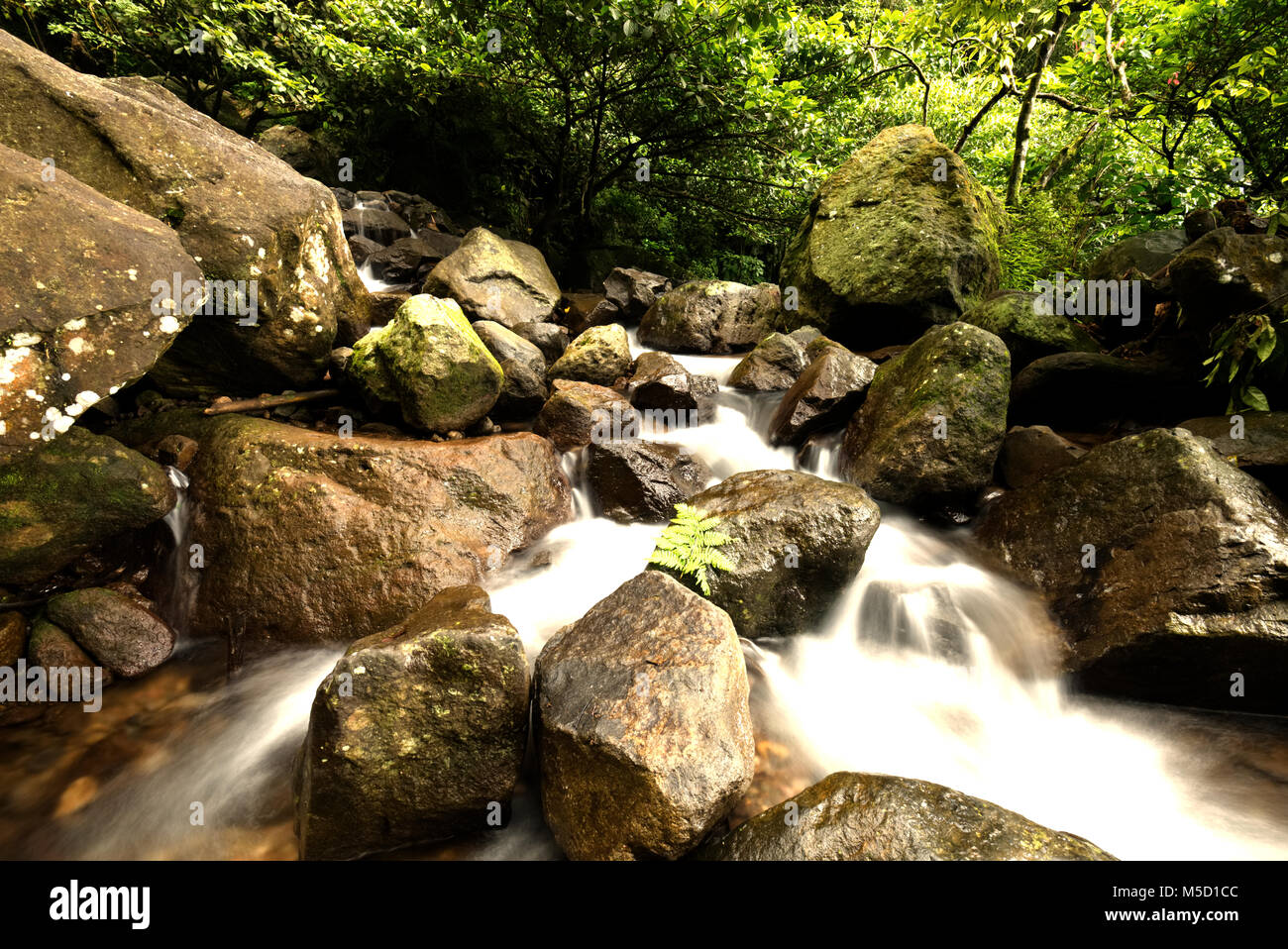 White rock ponds hi-res stock photography and images - Alamy