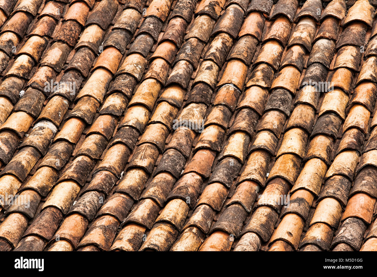 Terra cotta roof tile hi-res stock photography and images - Alamy