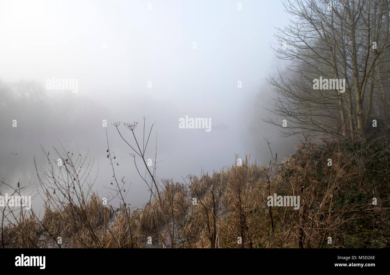 Winter Morning at Colwick Country Park in Nottingham, Nottinghamshire ...