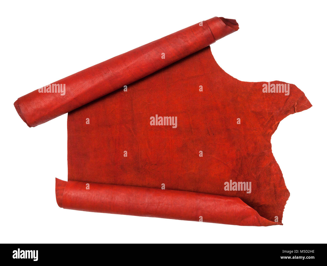 unrolled scroll from red hide isolated on white background Stock Photo ...