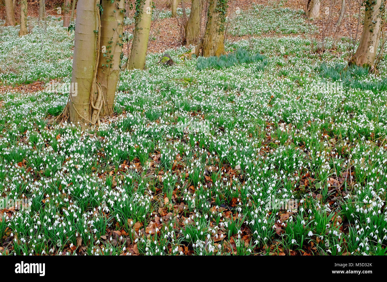 Hunworth hi-res stock photography and images - Alamy