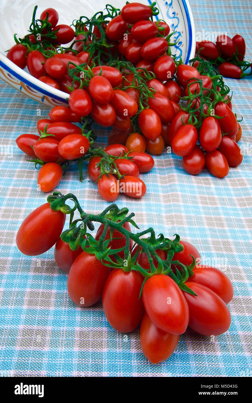 Cherry tomato (plum) of Sicily (Italy Stock Photo - Alamy