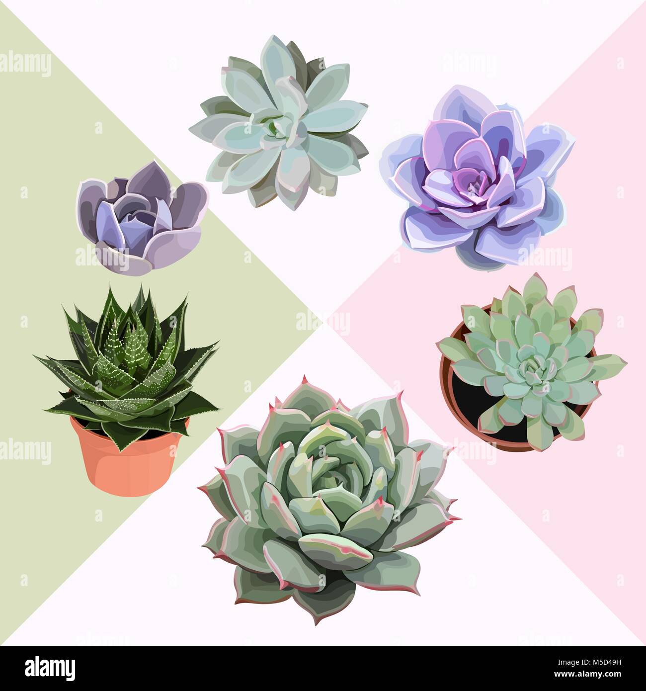 Succulent Leaf Clip Art