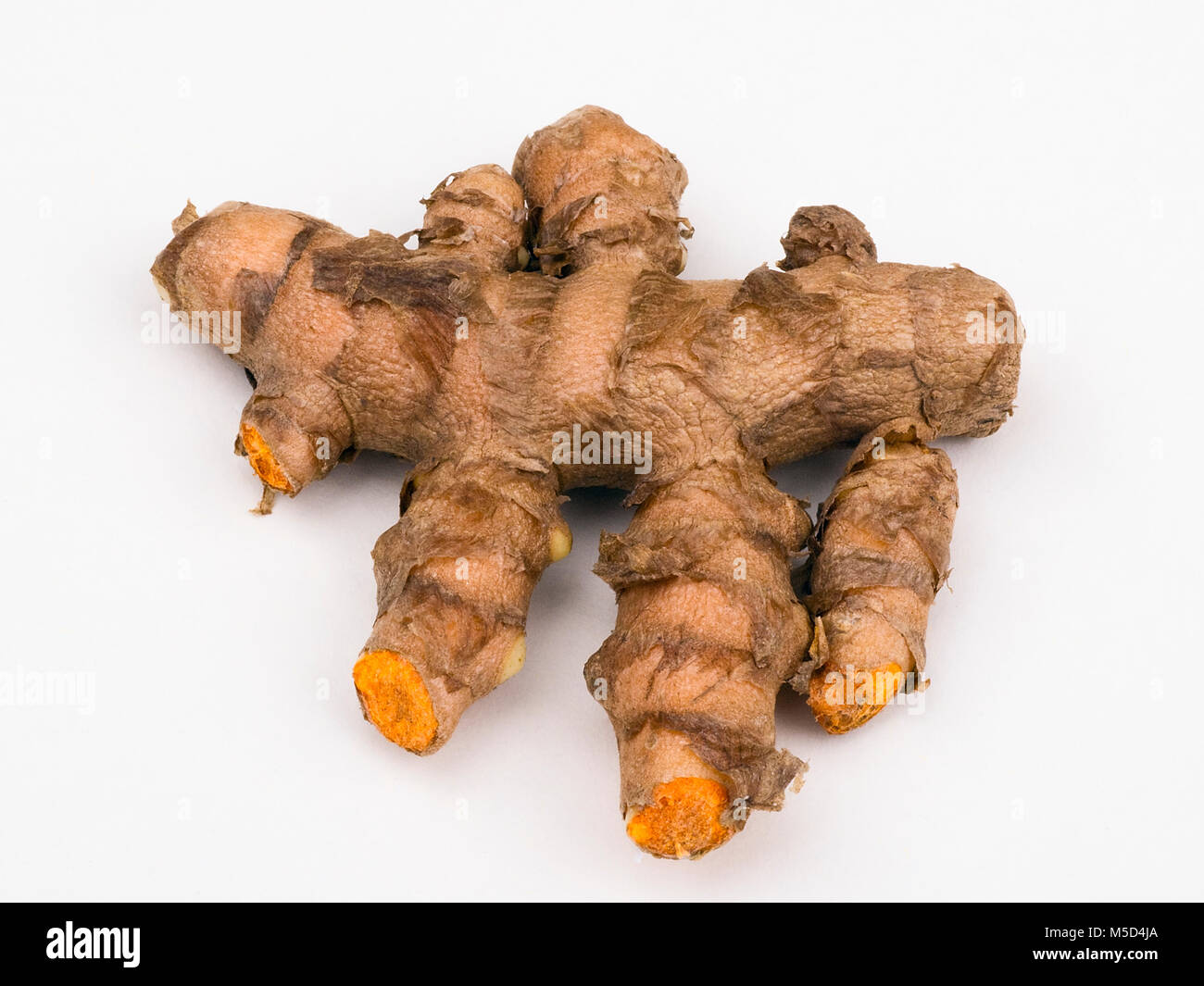 Turmeric curcuma longa domestica hi-res stock photography and images ...