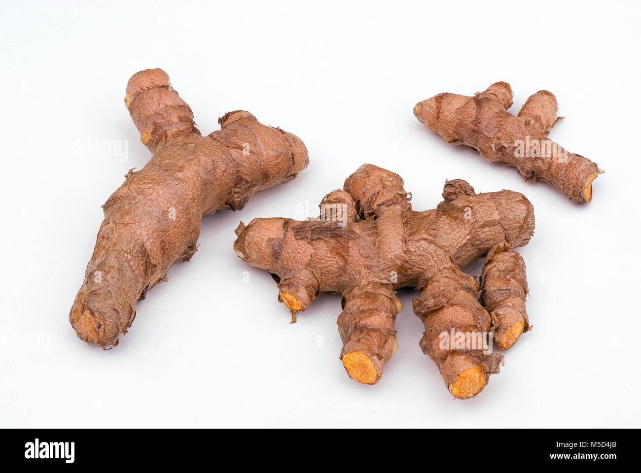 Turmeric (Curcuma longa) is a root of the tropical plant in the same ...