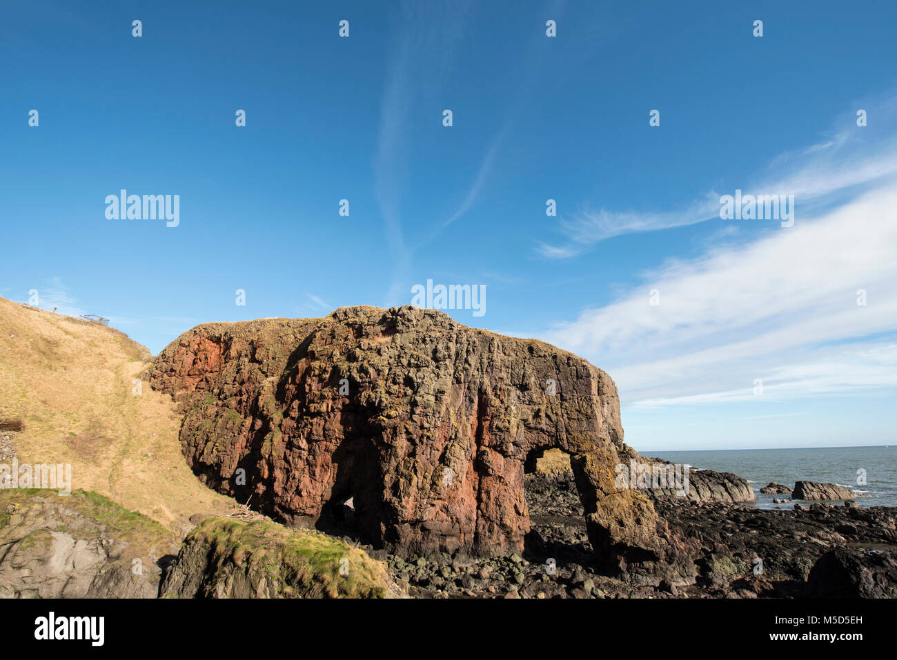 Elephant Rock, near Montrose, Angus, Scotland Stock Photo - Alamy