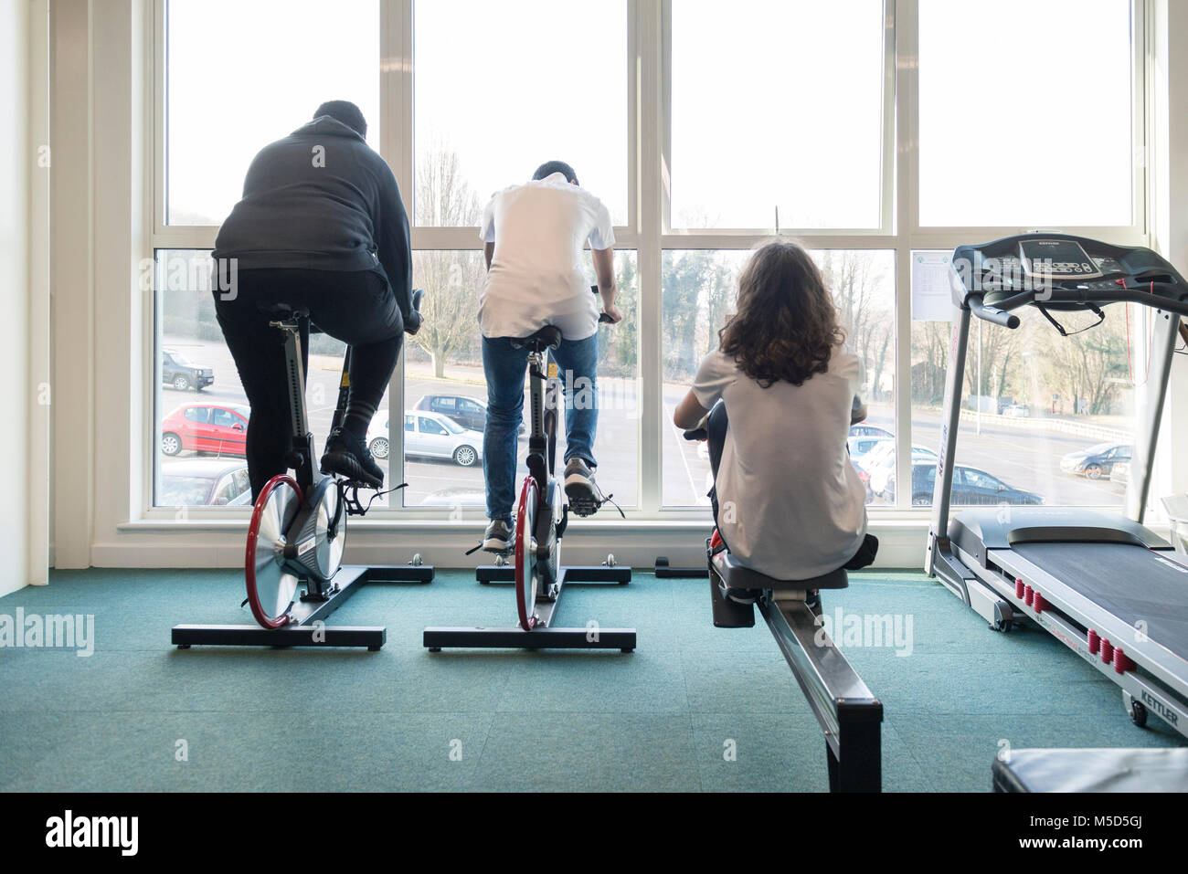 students work out and train in a gym during a lesson at college Stock ...