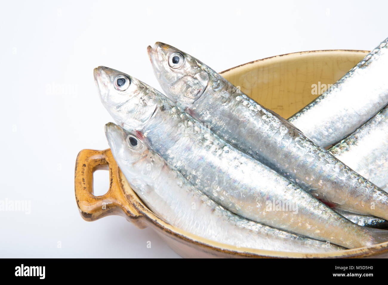 Pilchards. Sardines and pilchards are the same creature. At about 7in ...