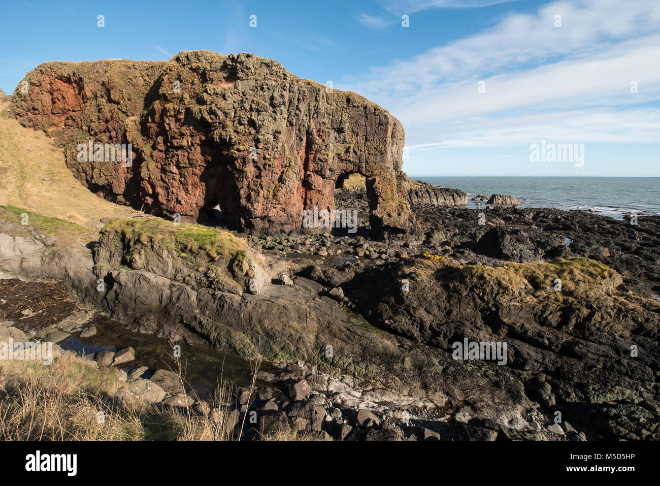Elephant Rock, near Montrose, Angus, Scotland Stock Photo - Alamy
