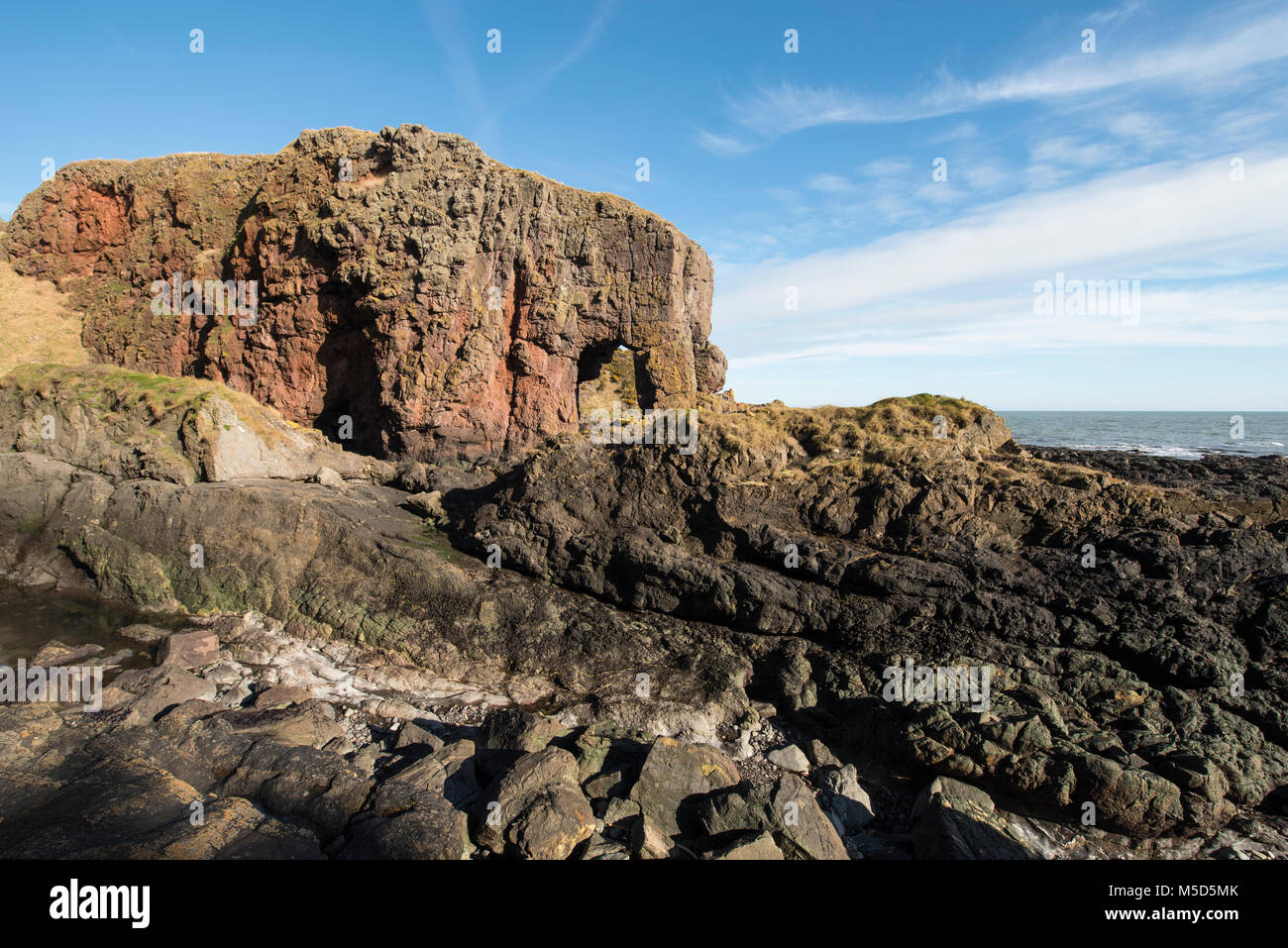 Elephant Rock, near Montrose, Angus, Scotland Stock Photo - Alamy
