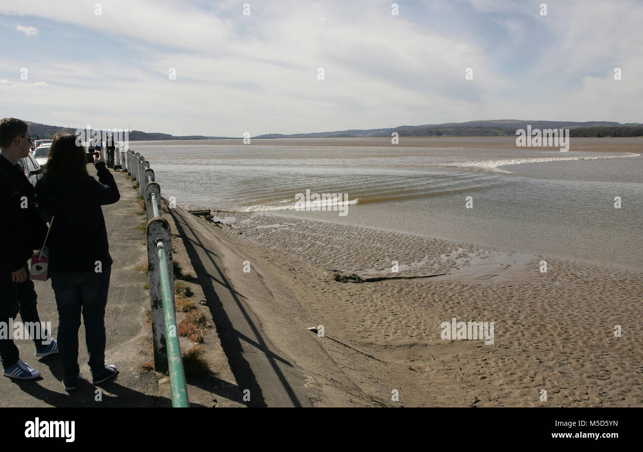 Visitors photographing a tidal bore moving up a channel in the Kent ...