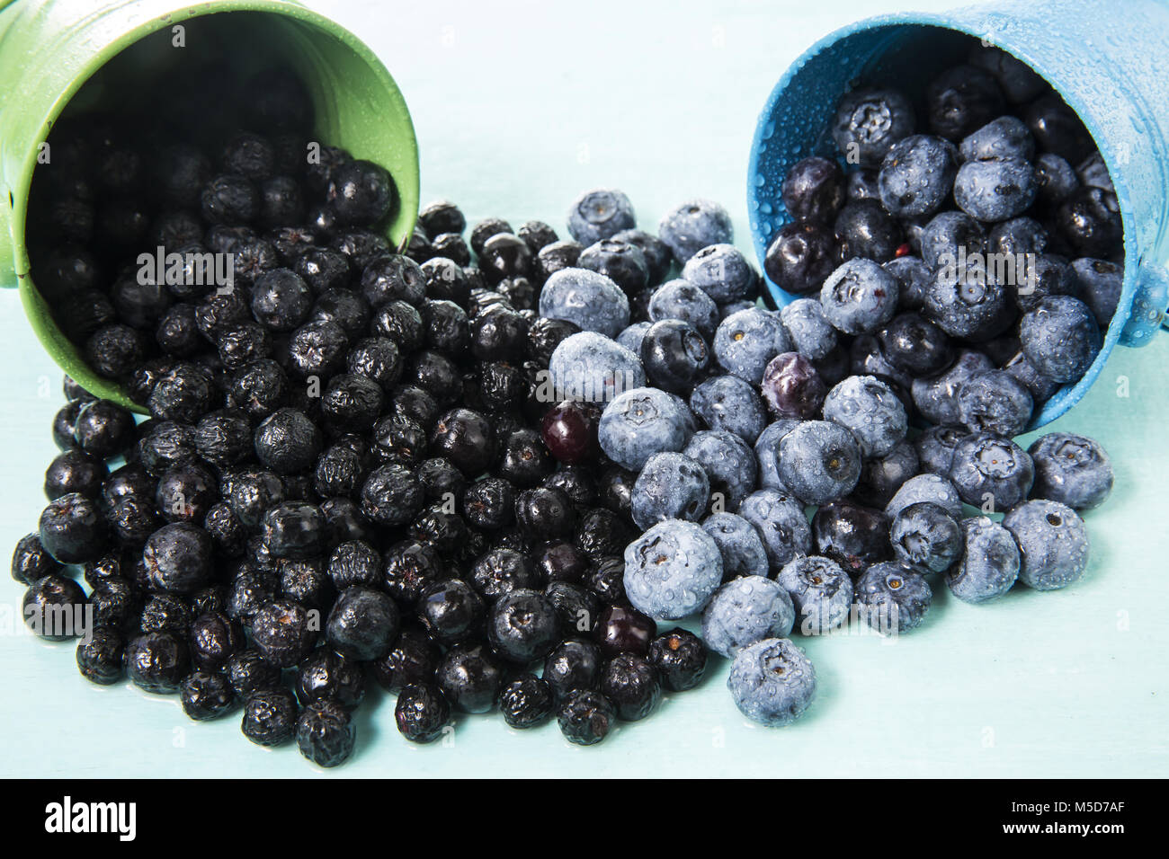 Wild Blueberries Vs Blueberries