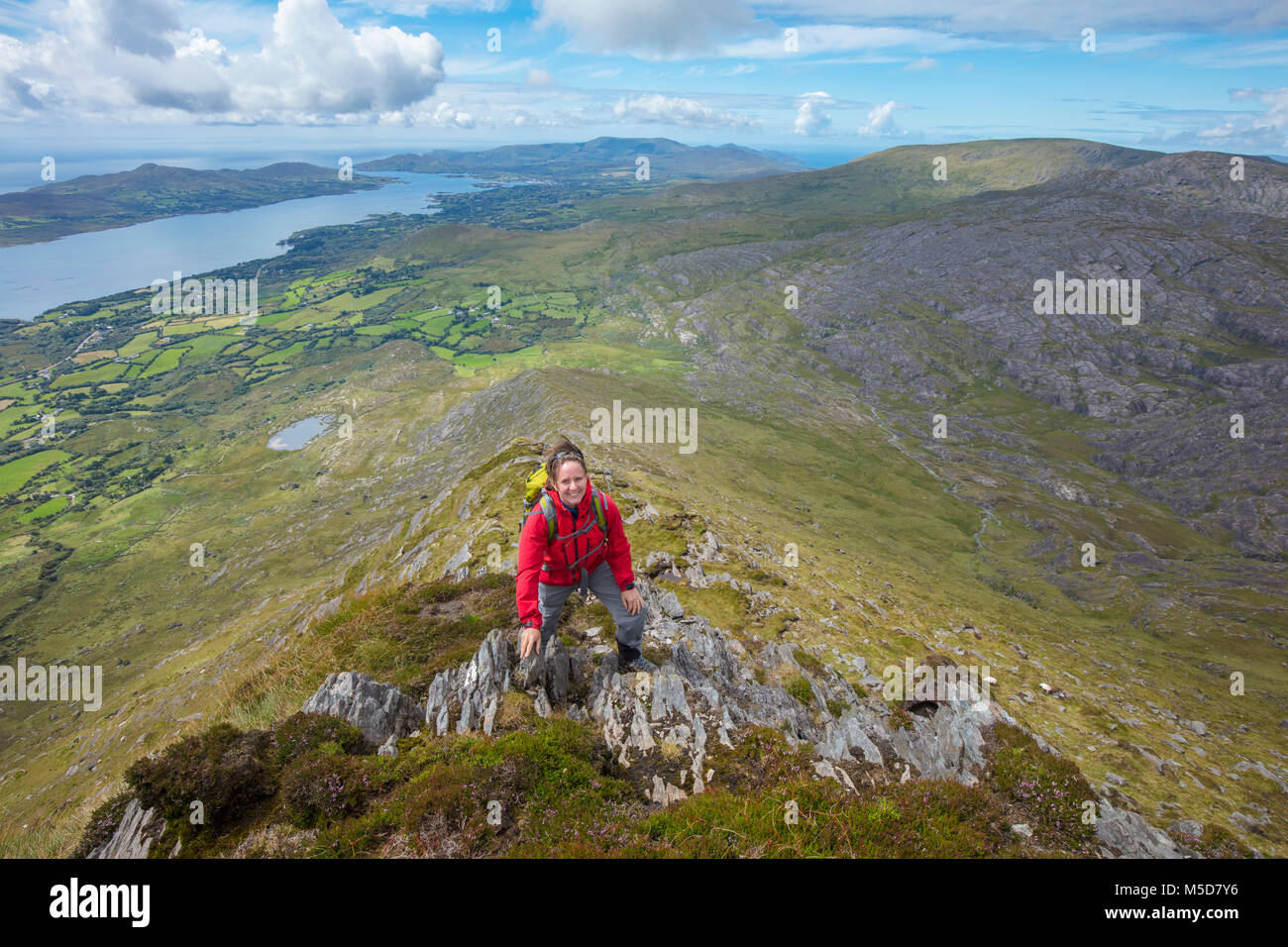 Hiker scrambling on the southwest ridge of Hungry Hill, Beara Peninsula ...