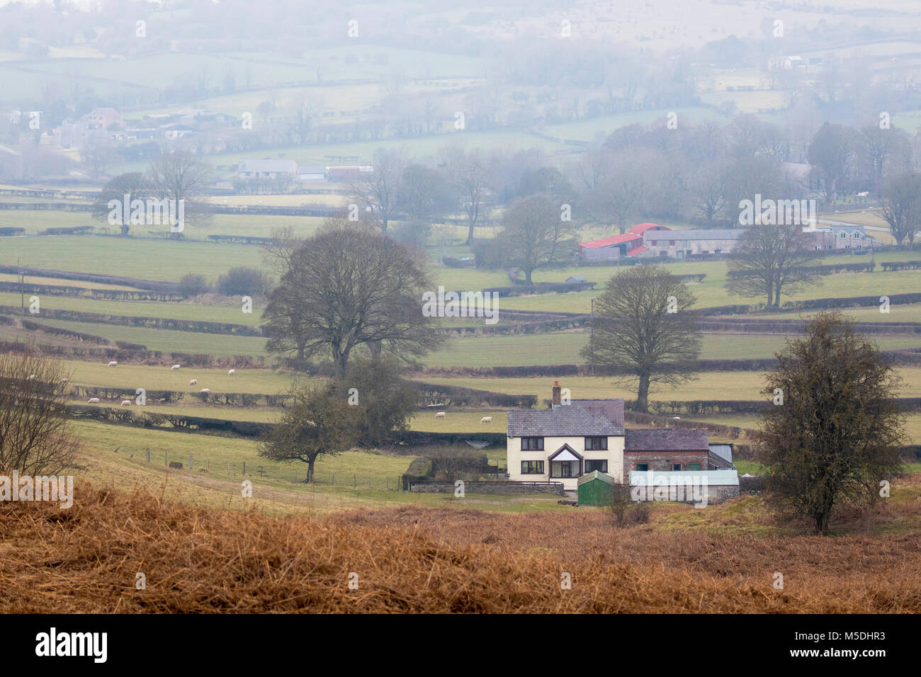 A rural country home in the vilage of Rhes-y-Cae at dawn with a ...