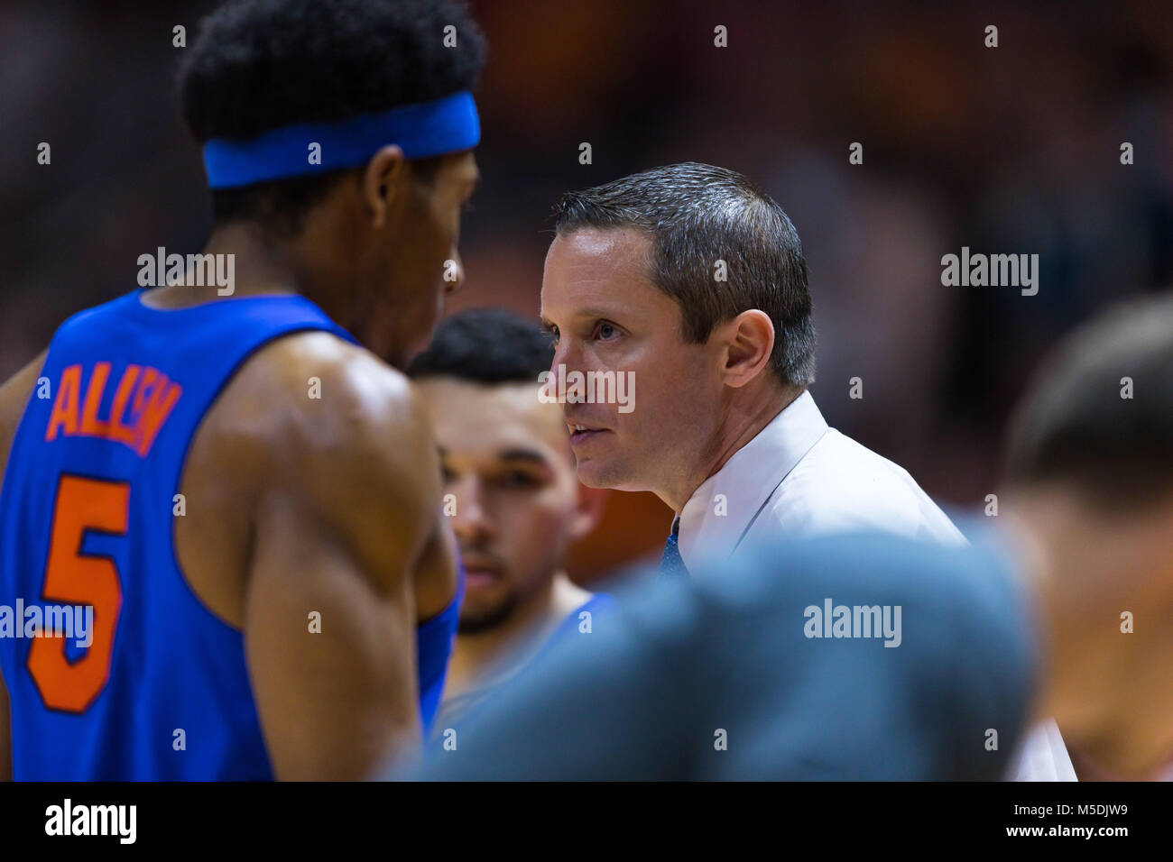 Thompson boling arena hi-res stock photography and images - Alamy