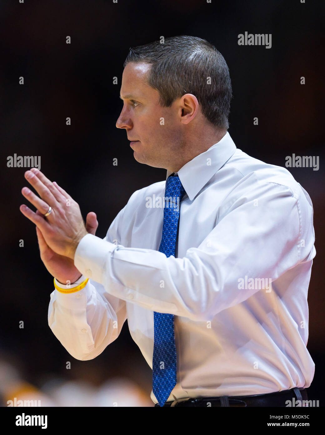 Thompson boling arena hi-res stock photography and images - Alamy