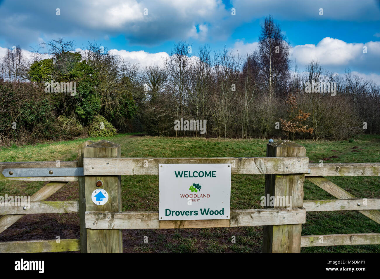 Proposed entrance hi-res stock photography and images - Alamy
