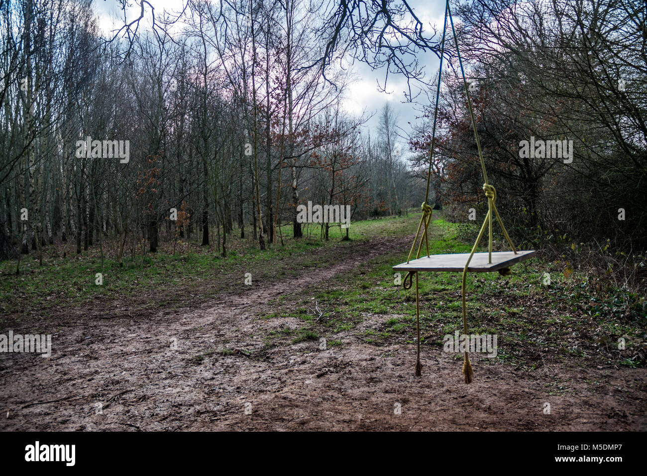 Hereford, UK. 22nd Feb, 2018. A childs swing is seen in Drovers Wood ...