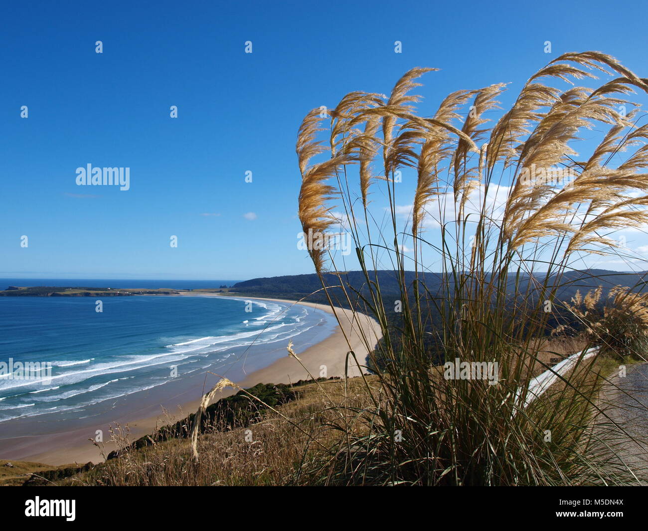 Discover new zealand hi-res stock photography and images - Alamy