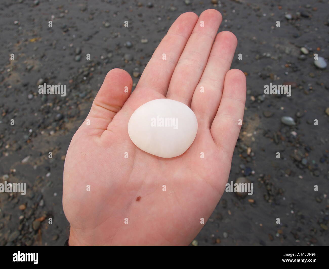 Hand offering a with stone Stock Photo - Alamy