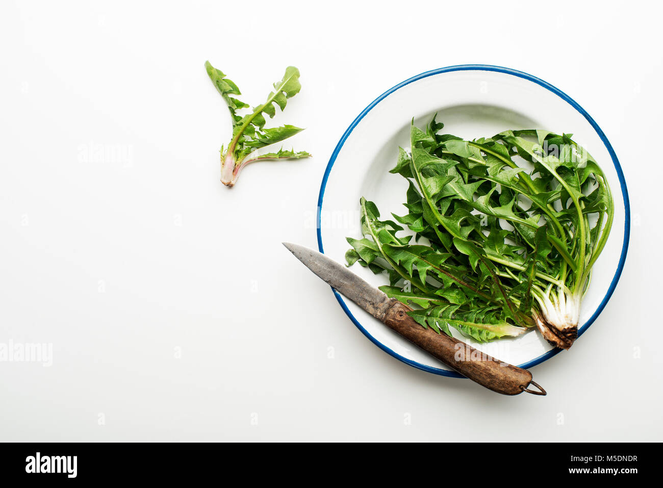 Fresh dandelion leaves on white background overhead shoot Stock Photo ...