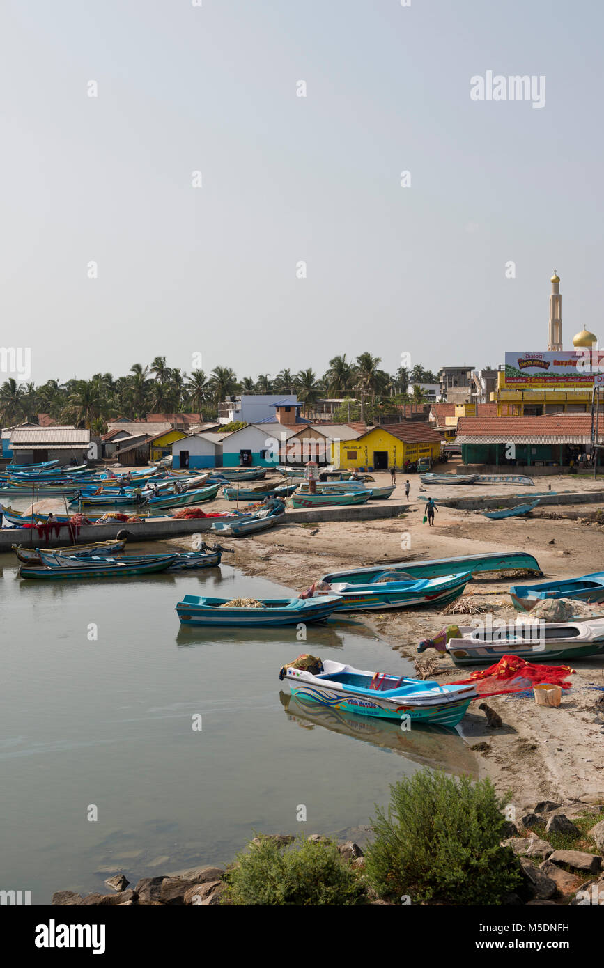 Mannar hi-res stock photography and images - Alamy