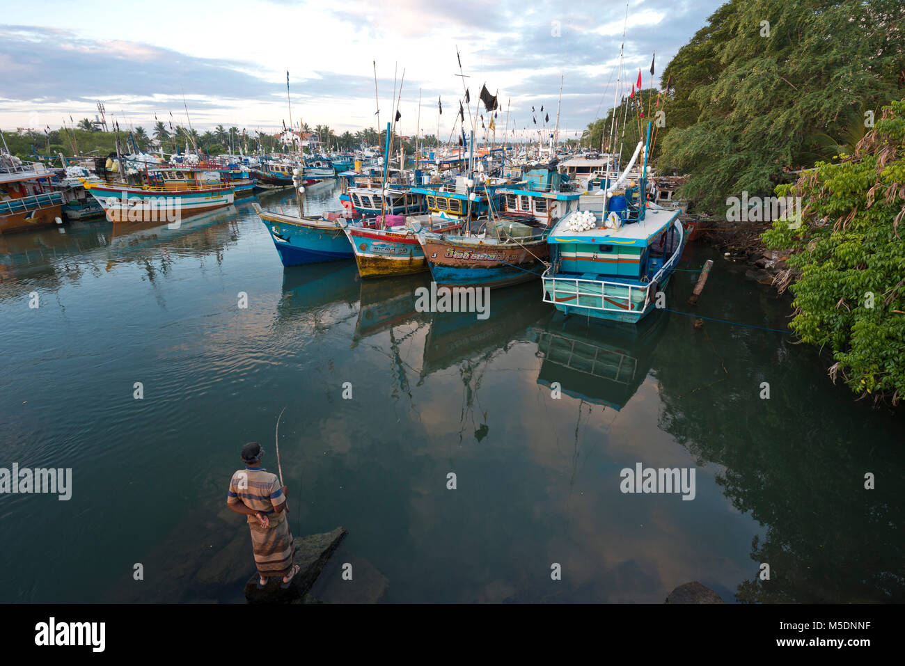 Sri Lanka, Negombo, Asia, fish market, fish, fisher, boat Stock Photo ...