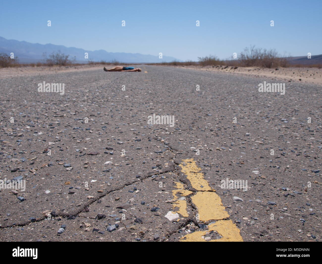 Road kill in Death Valley Stock Photo - Alamy
