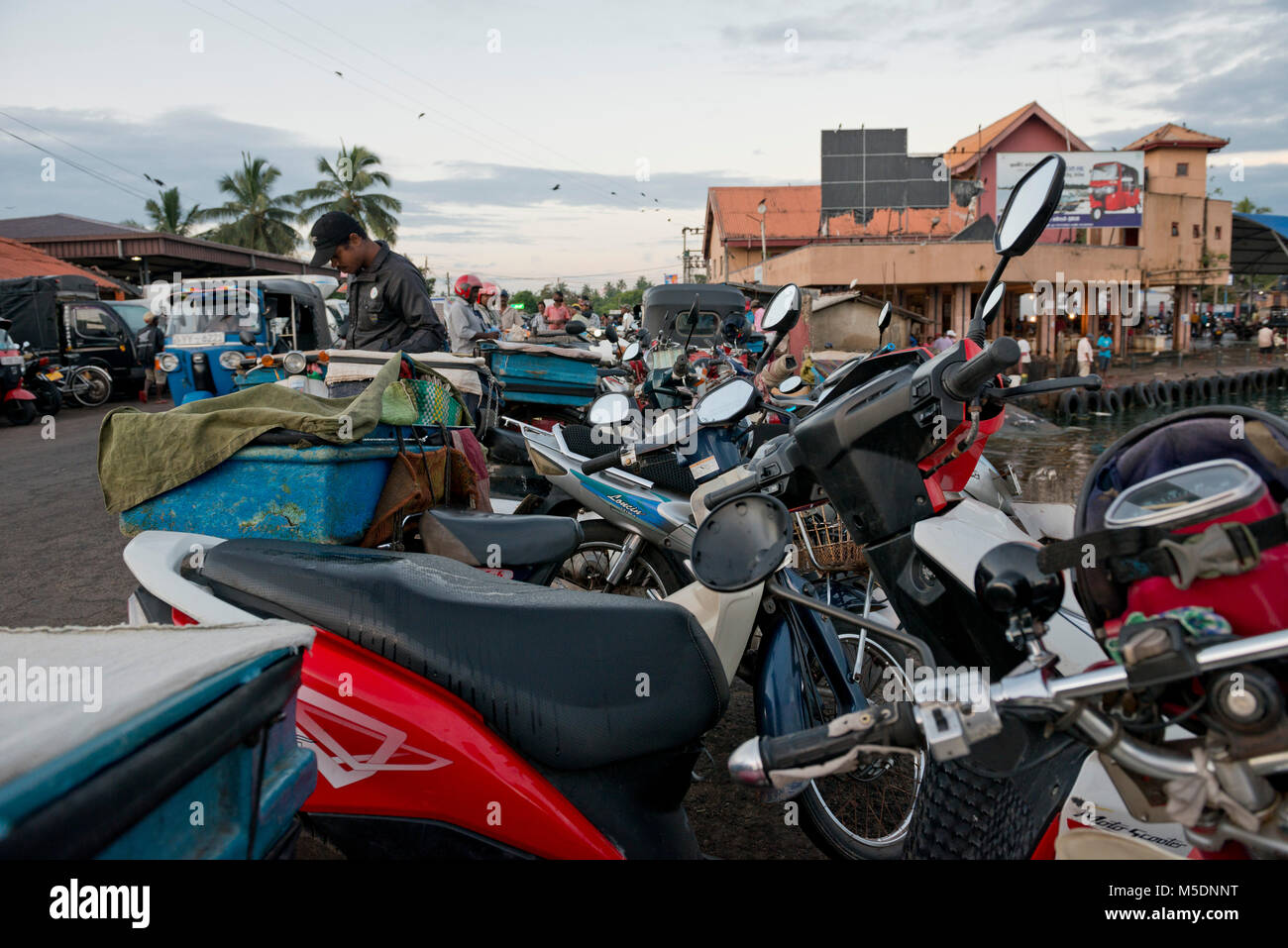 Sri Lanka, Negombo, Asia, fish market, fish, fisher, boat Stock Photo ...